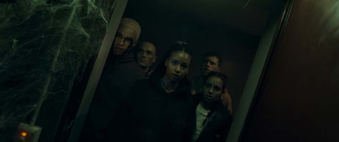 Review of Infested (2024) - A Frightening Shudder Original Streaming this Friday | Geek Network